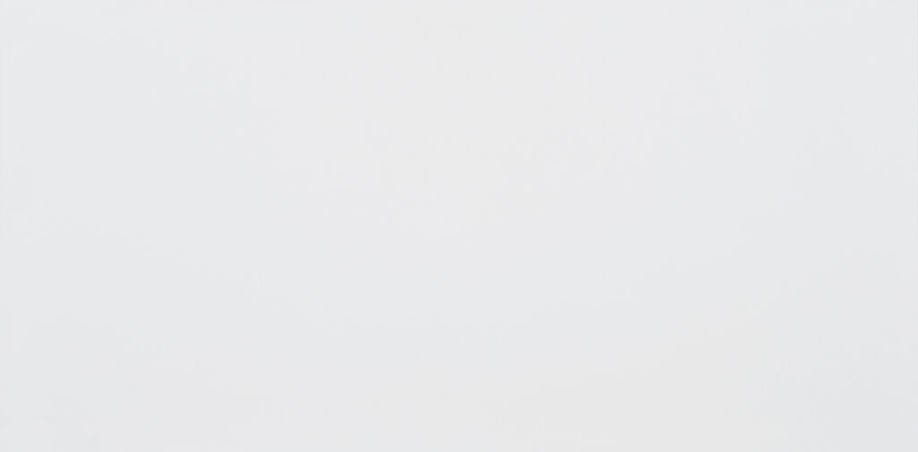 Bianco Assoluto Quartz - Home Improvement Studio