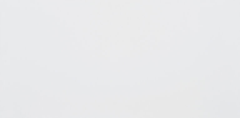 Bianco Assoluto Quartz - Home Improvement Studio